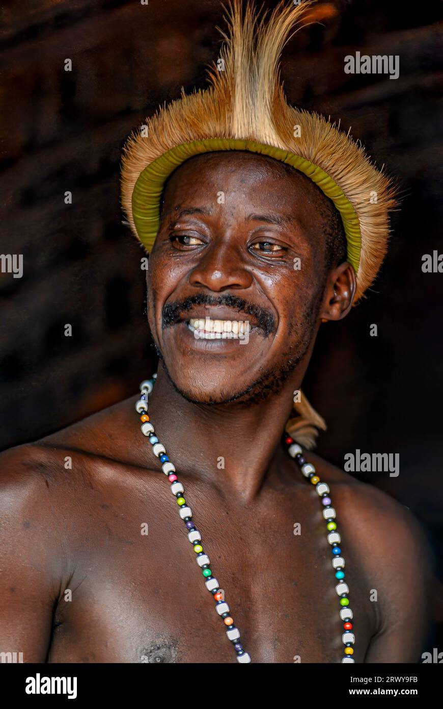 Native male Zulu dancer during in tradional dress performing during ...