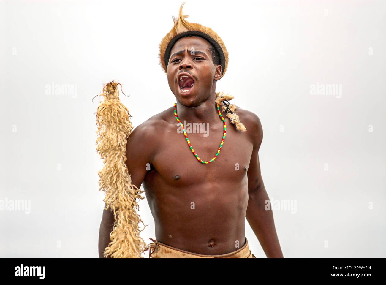 Native male Zulu dancer during in tradional dress performing during ...