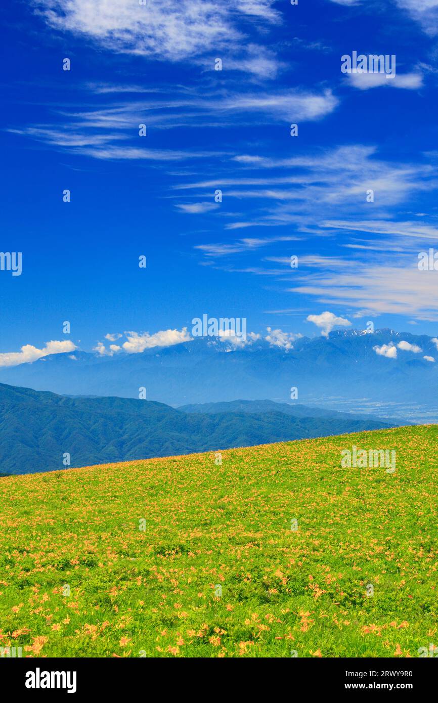 Nikkoh sedge, Mt. Kisokomagatake and other mountains and clouds Stock ...