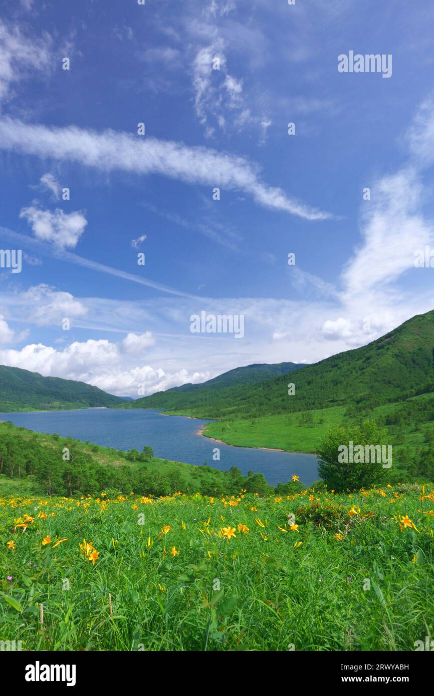Lake Notan in bloom Stock Photo - Alamy