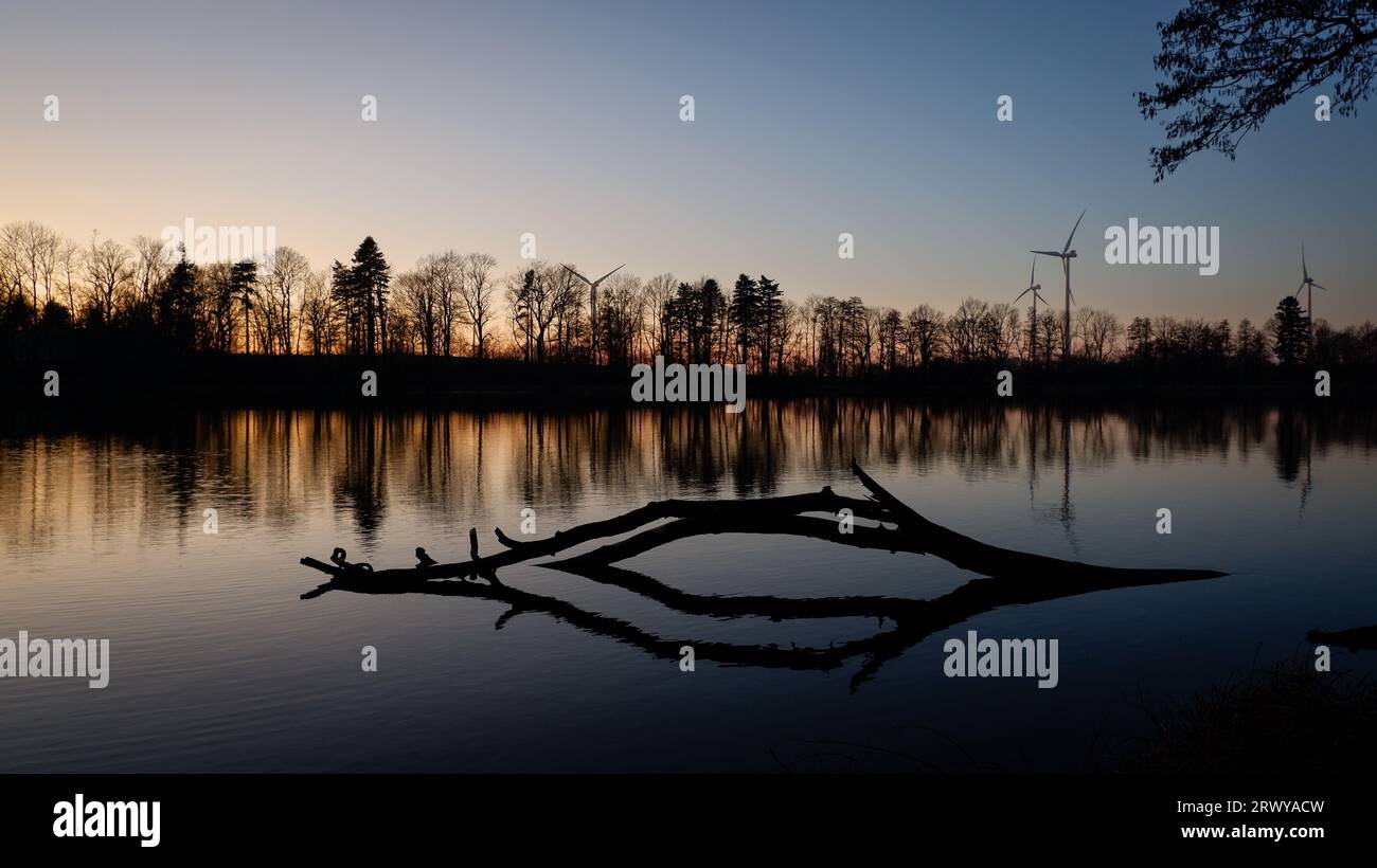 Fallen tree in the lake hi-res stock photography and images - Alamy