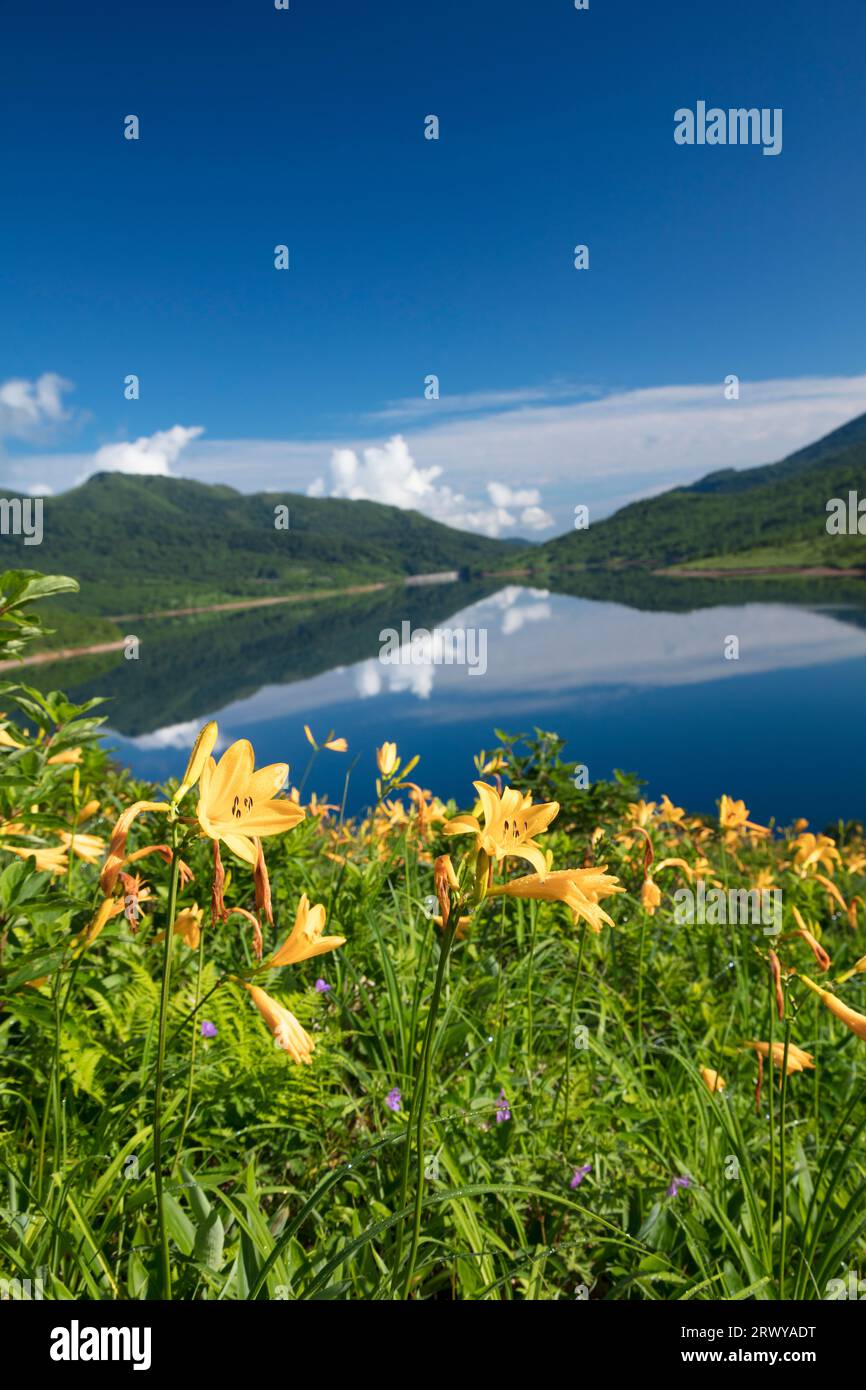 Lake Notan in bloom Stock Photo - Alamy