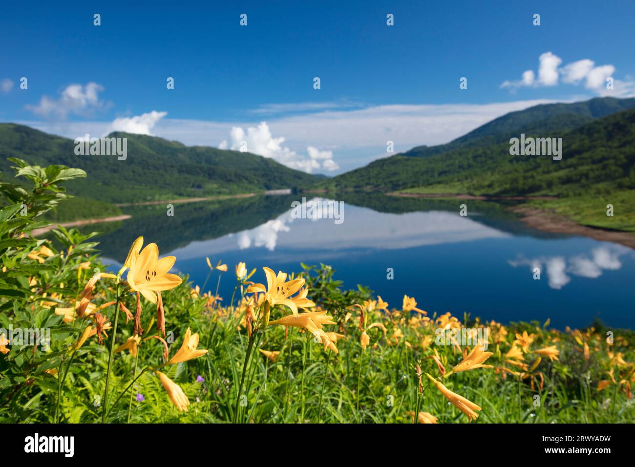 Lake Notan in bloom Stock Photo - Alamy