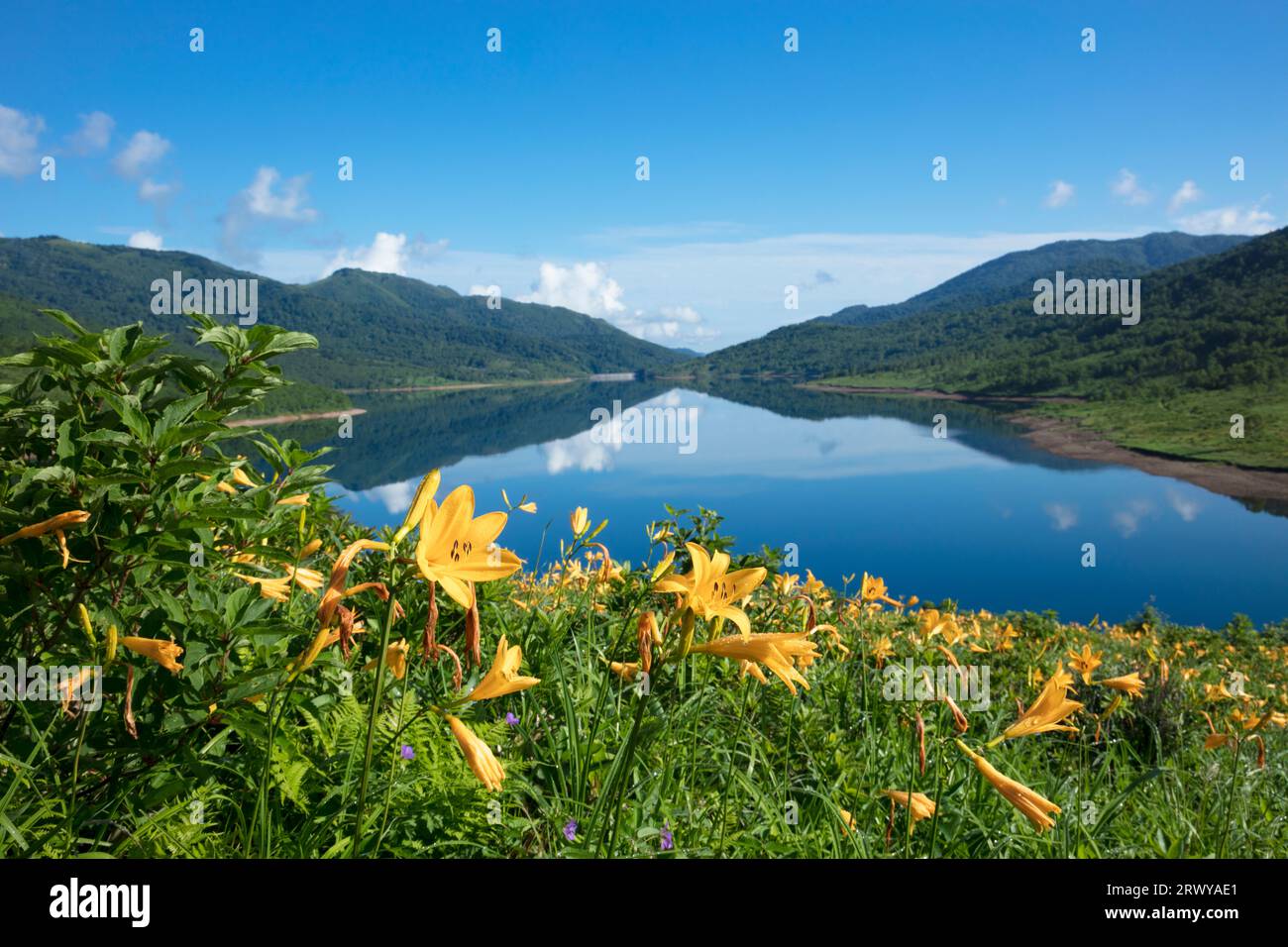 Lake Notan in bloom Stock Photo - Alamy