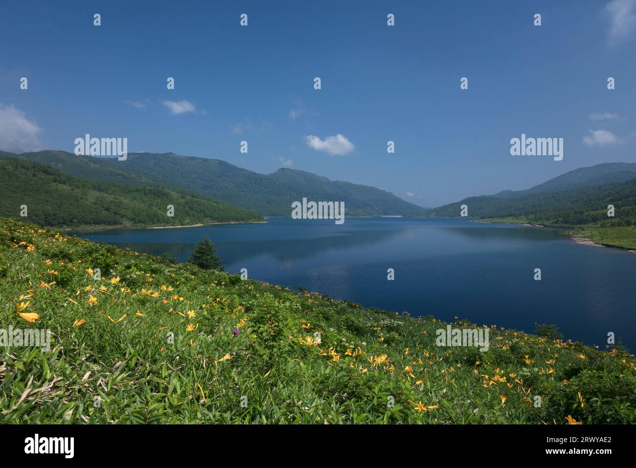 Lake Notan in bloom Stock Photo - Alamy