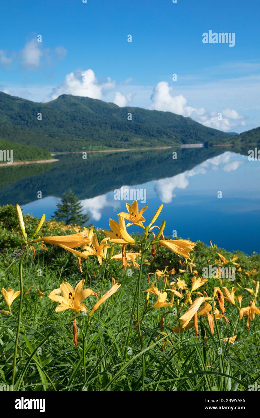 Lake Notan in bloom Stock Photo - Alamy