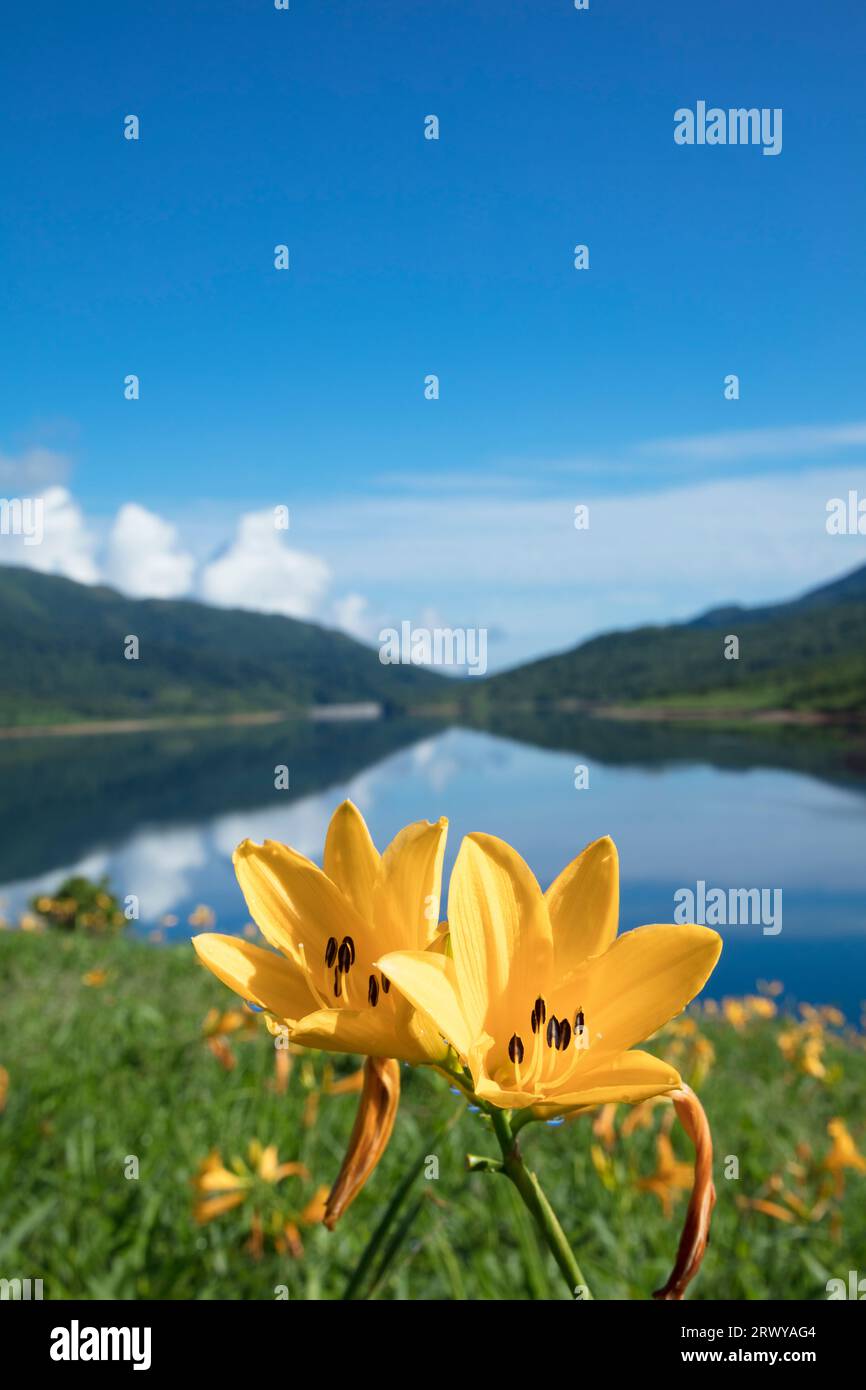 Lake Notan in bloom Stock Photo - Alamy