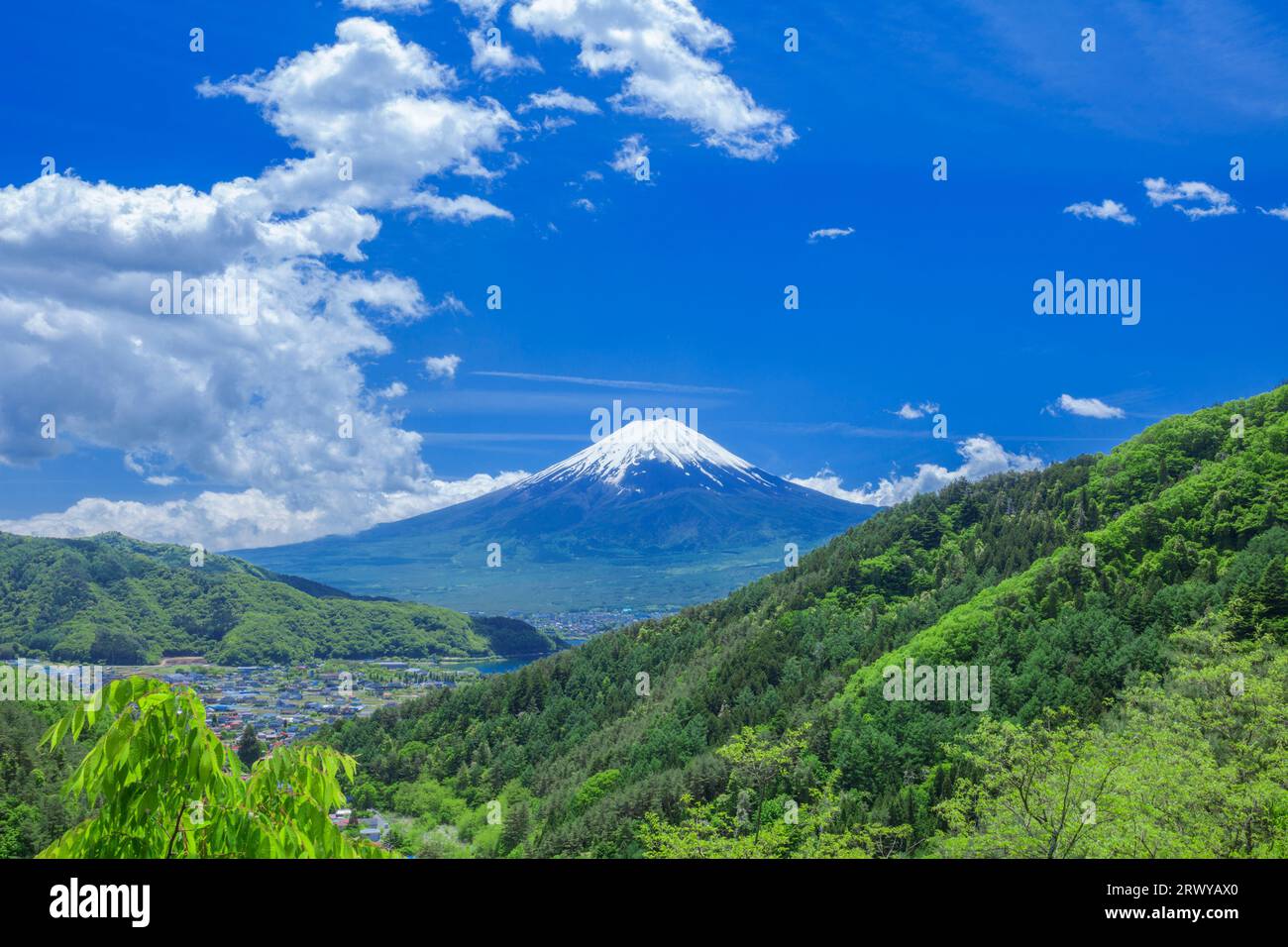 Fresh Green Mountain, Mt. Fuji and Rising Clouds Stock Photo - Alamy
