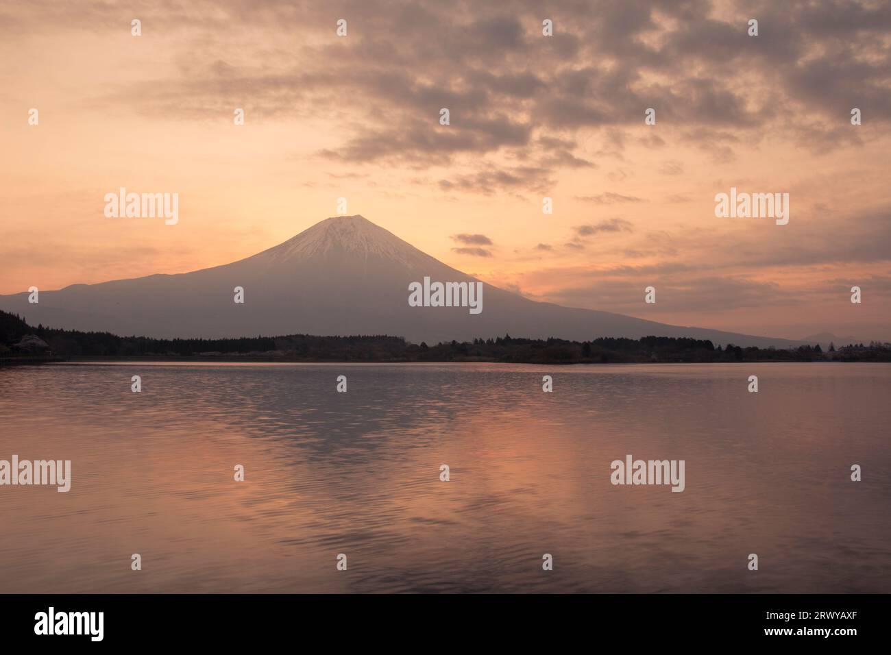 Lake Tanuki and Mt. Fuji in the morning glow Stock Photo - Alamy