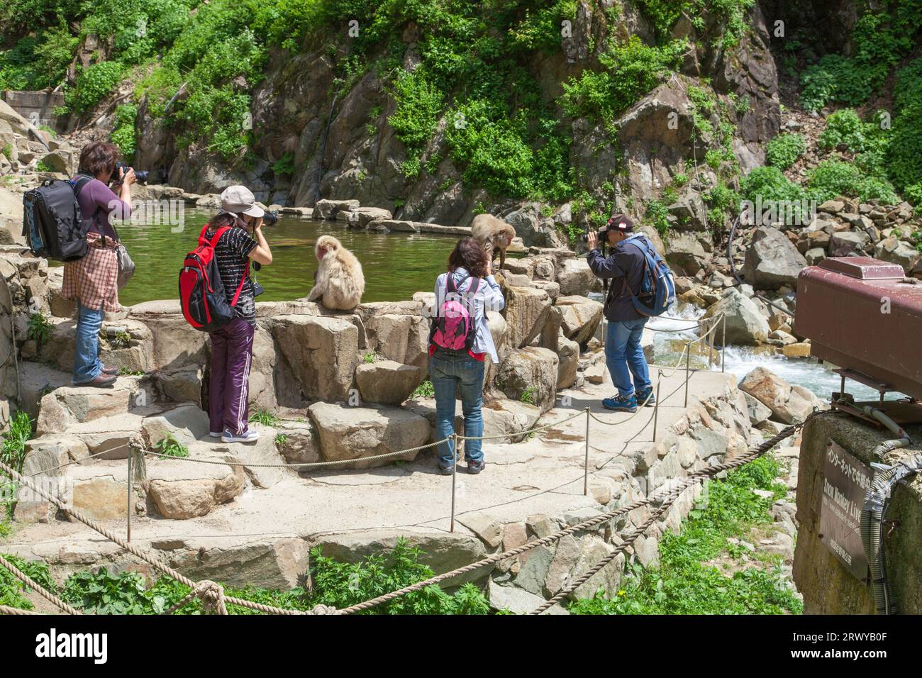 Yaen koen hi-res stock photography and images - Alamy