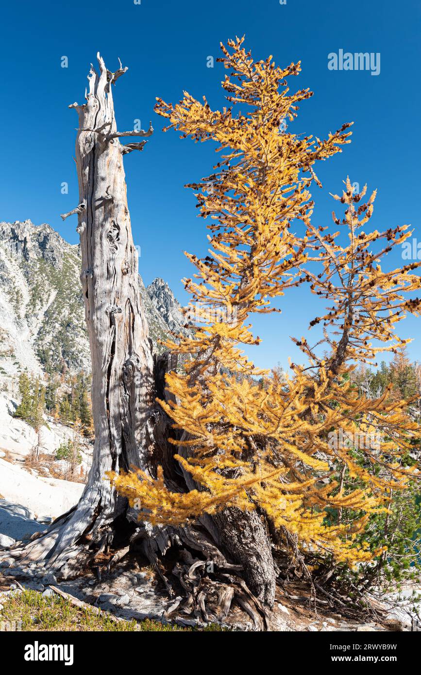 Washington state enchantment lakes hi-res stock photography and images ...