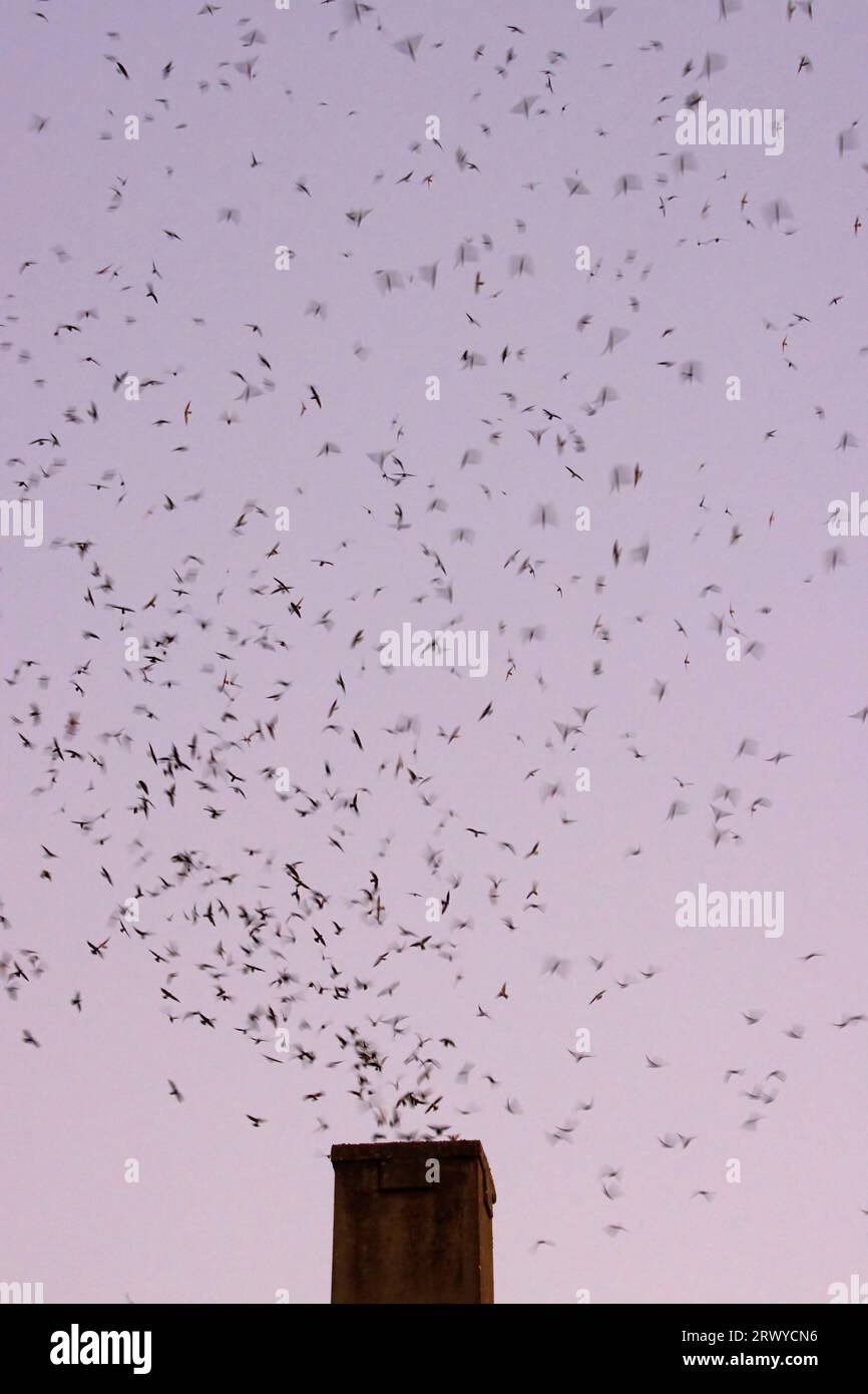 Agate hall hi-res stock photography and images - Alamy