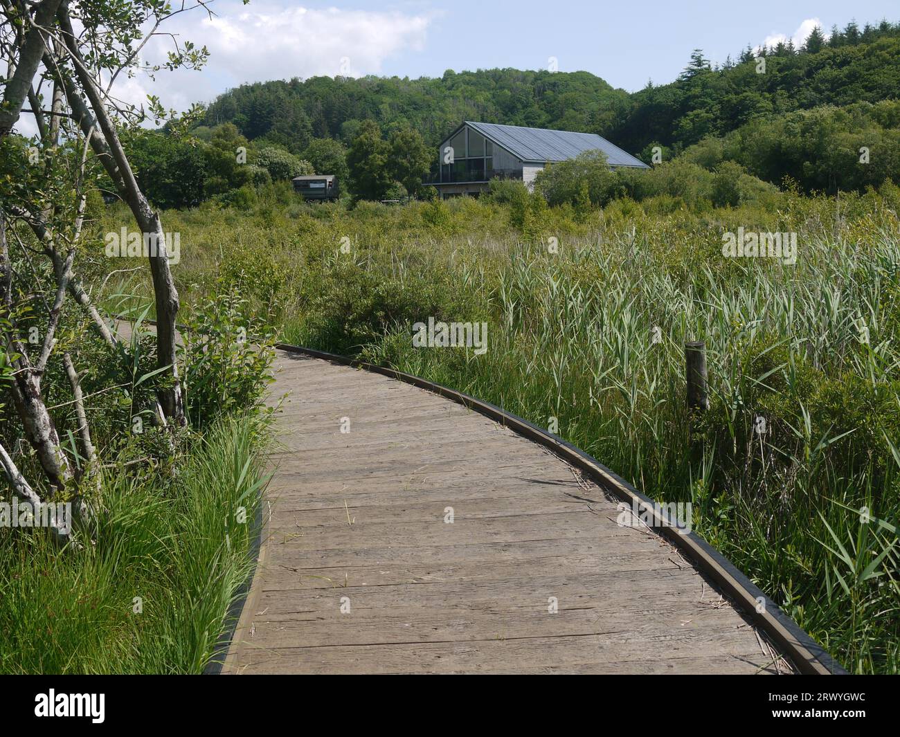 Cors dyfi wildlife reserve hi-res stock photography and images - Alamy
