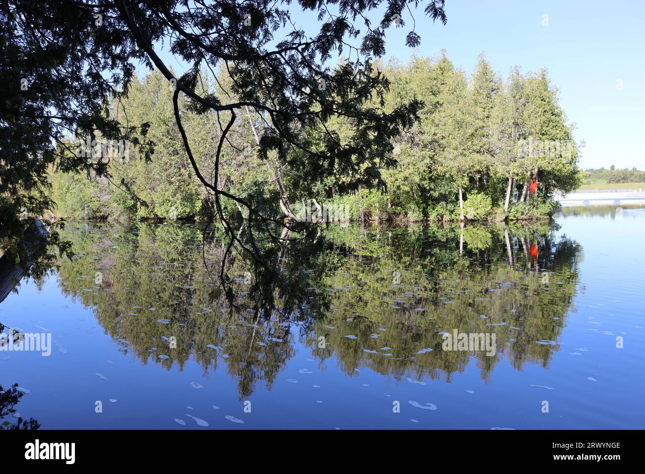reflection on the lake Stock Photo - Alamy