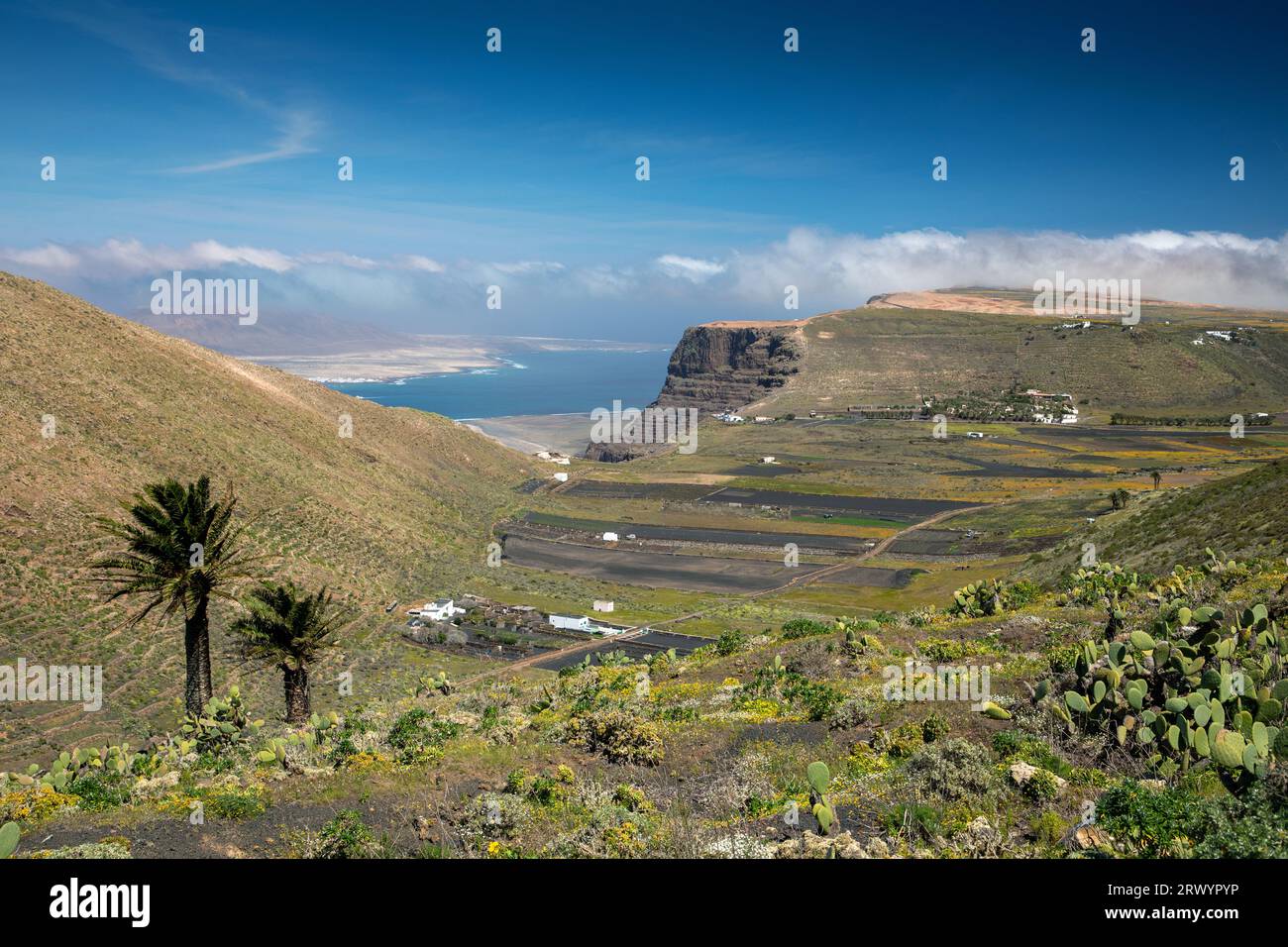 field landscape in Valle de Guinate, Canary Islands, Lanzarote, Haria ...