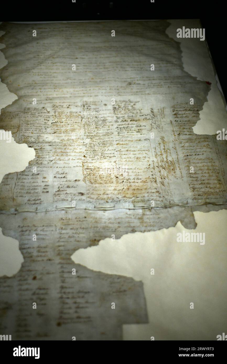 Treaty of waitangi hi-res stock photography and images - Alamy