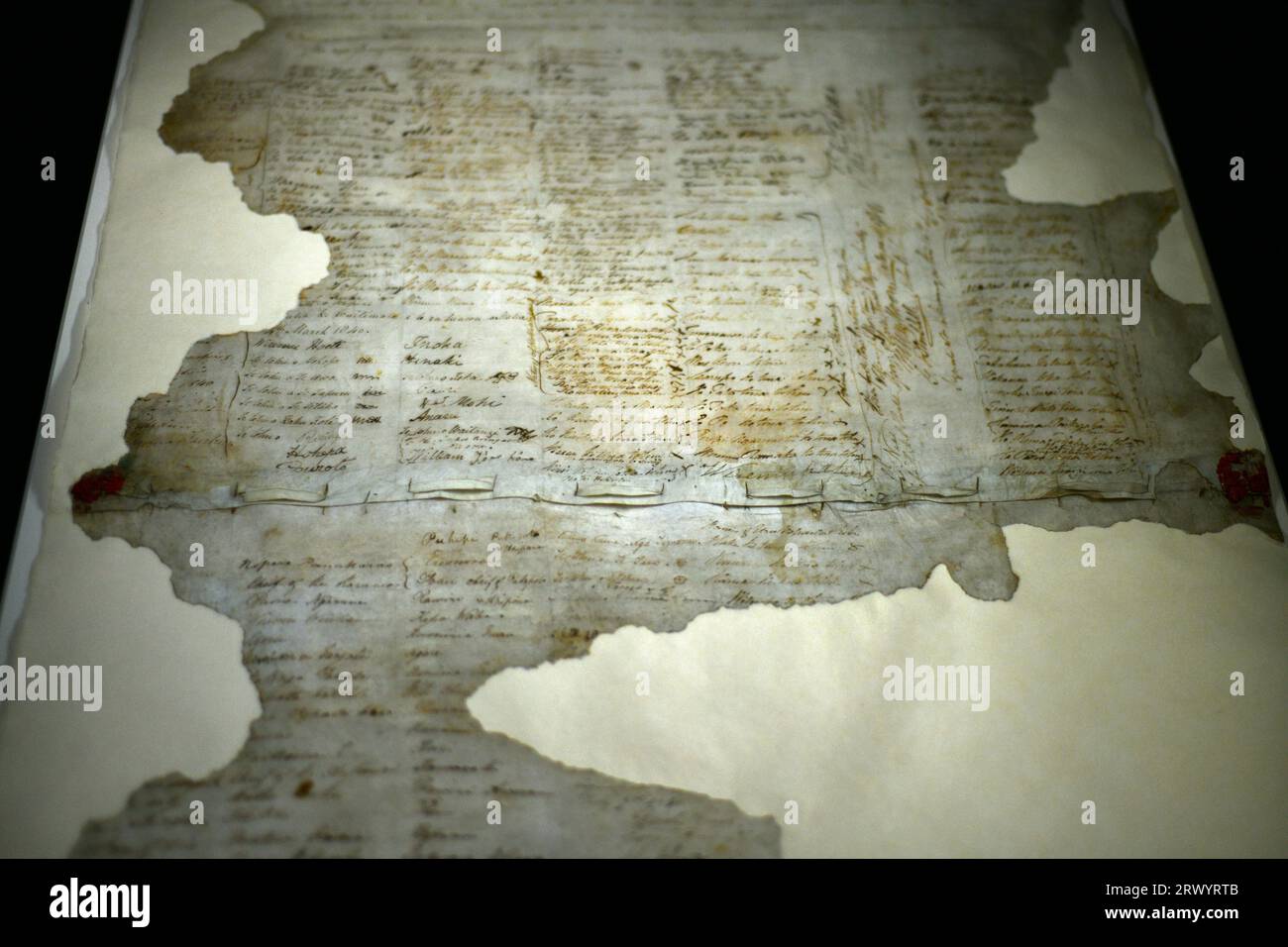 Treaty of waitangi hi-res stock photography and images - Alamy