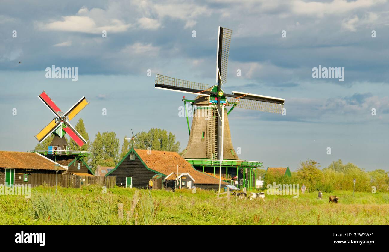 Two Windmills in Holland Stock Photo - Alamy