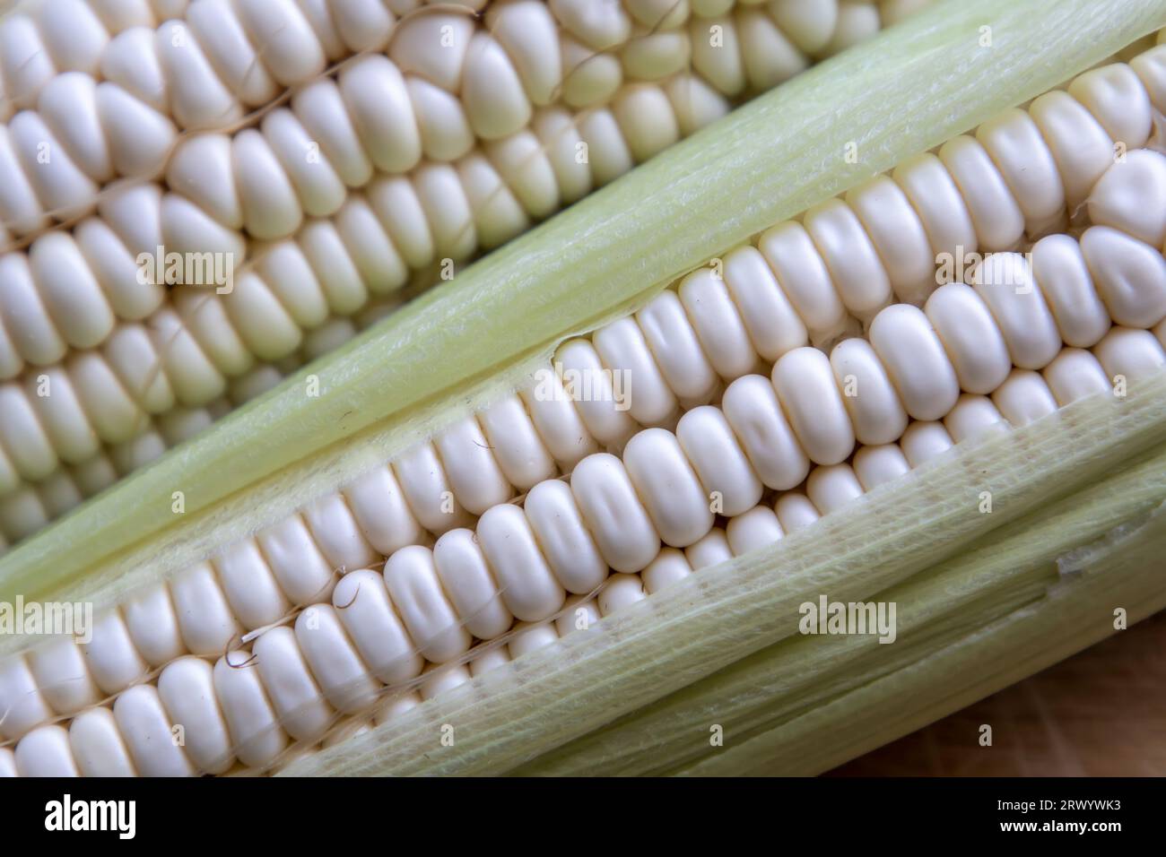 Modified seeds hi-res stock photography and images - Alamy