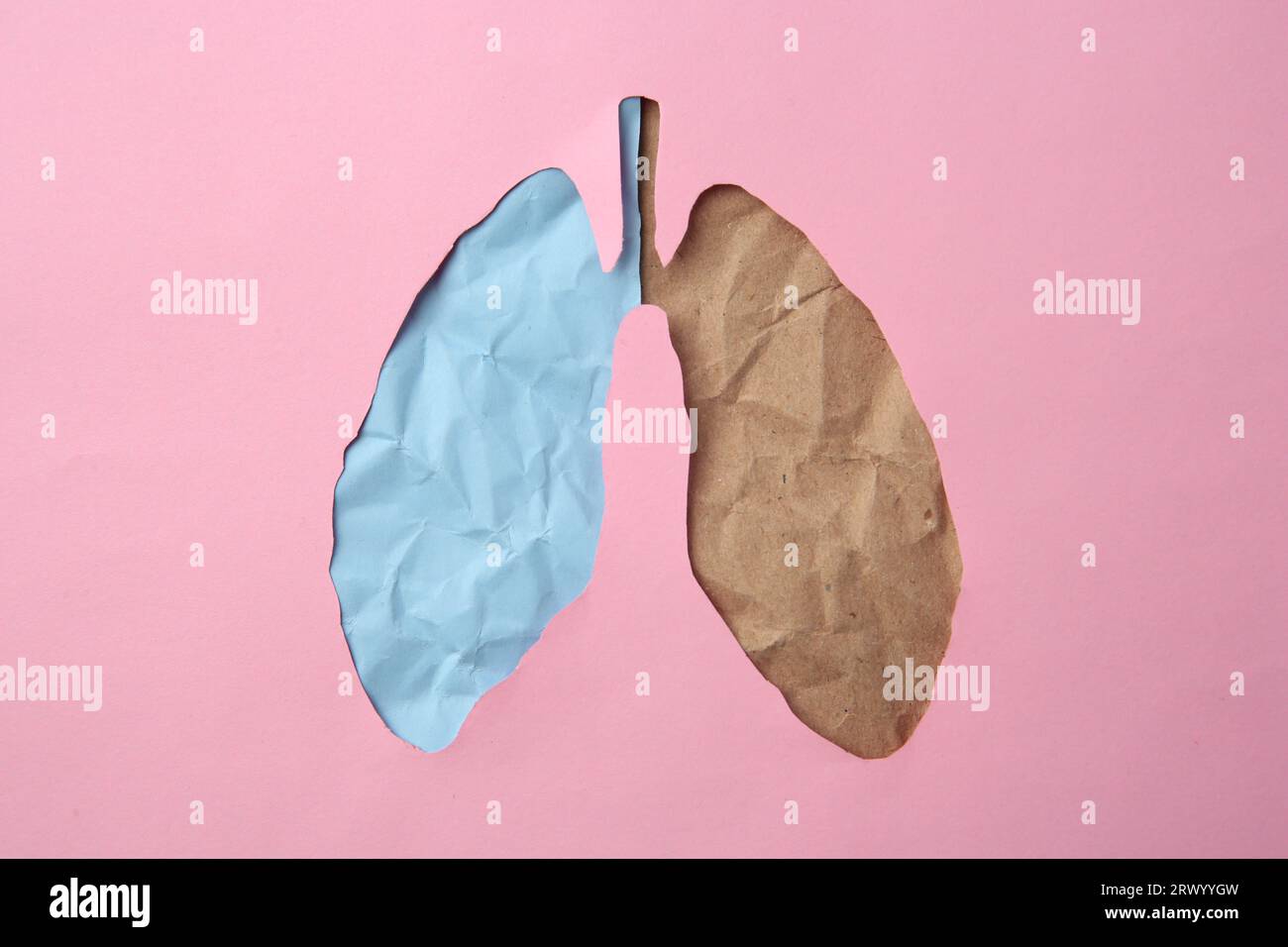 Pink paper with cutout in shape of human lungs, top view. Influence of ...
