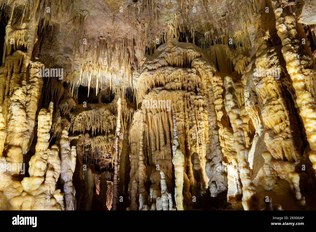 Natural bridge caverns texas hi-res stock photography and images - Alamy