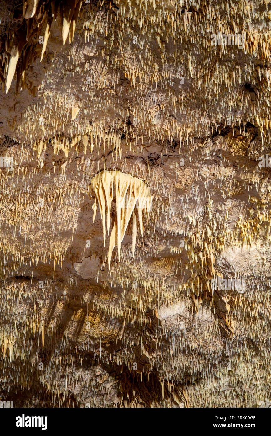 natural bridge caverns Stock Photo - Alamy