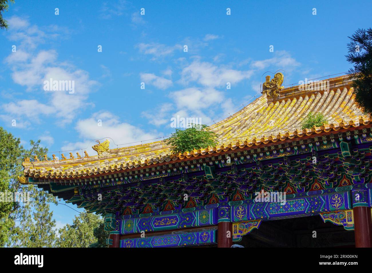 Auspicious Beast on the eaves of Dacheng Gate of Beijing Temple of ...