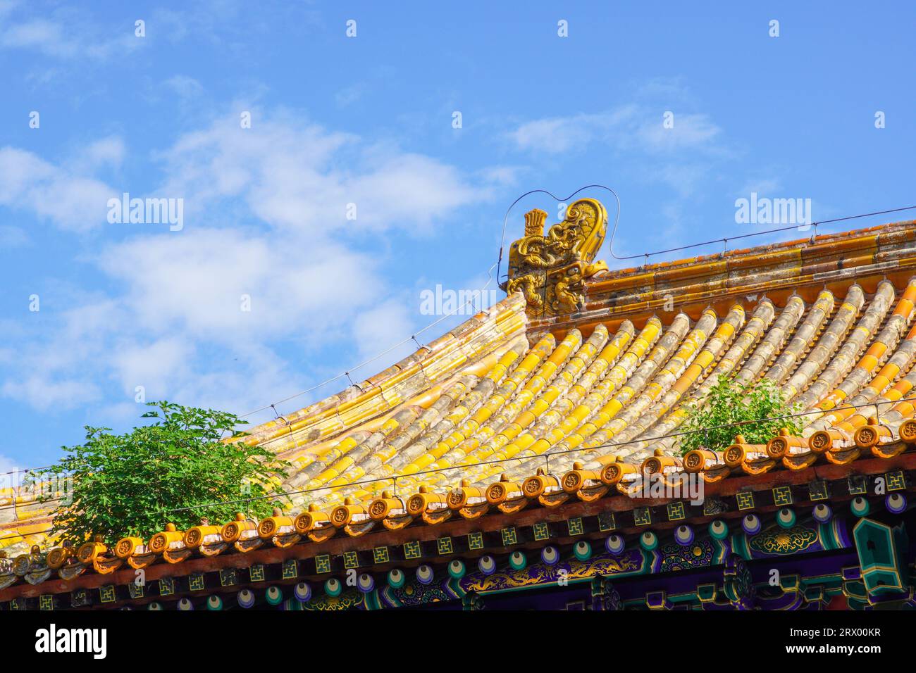 Auspicious Beast on the eaves of Dacheng Gate of Beijing Temple of ...