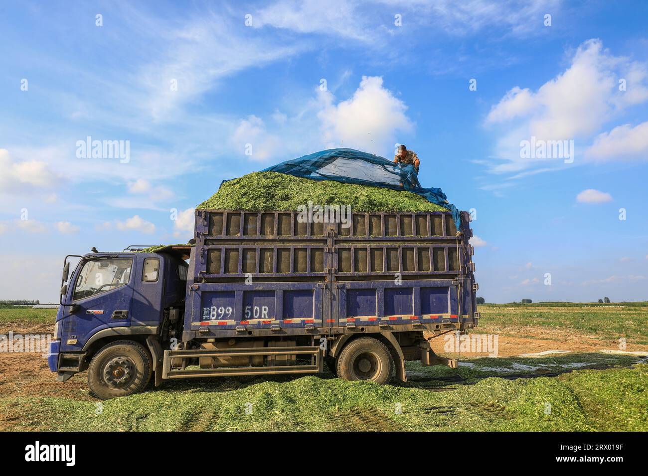 Luannan County, China - July 27, 2022: The driver covered the crushed ...
