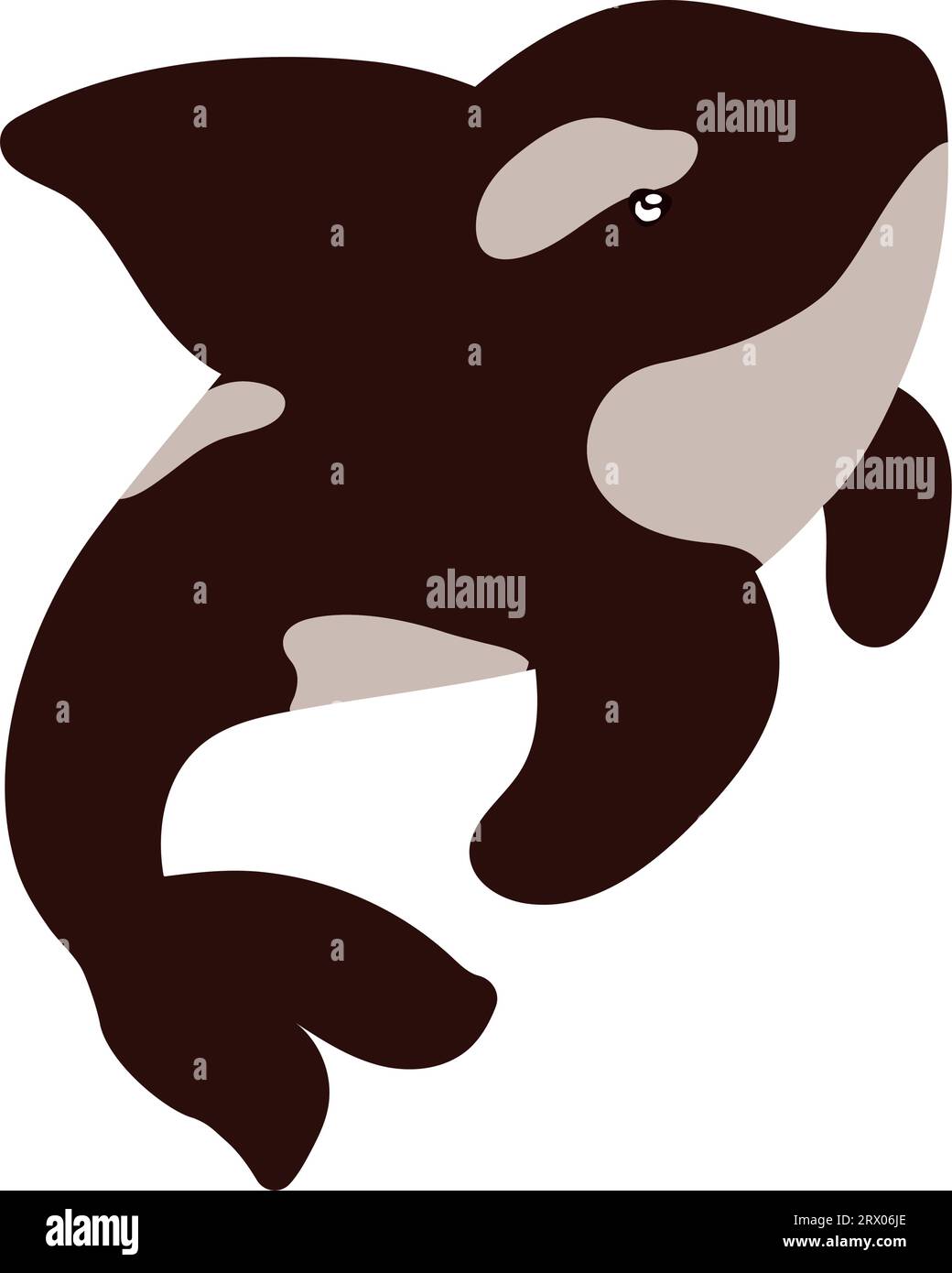 artic animal orca whale Stock Vector Image & Art - Alamy