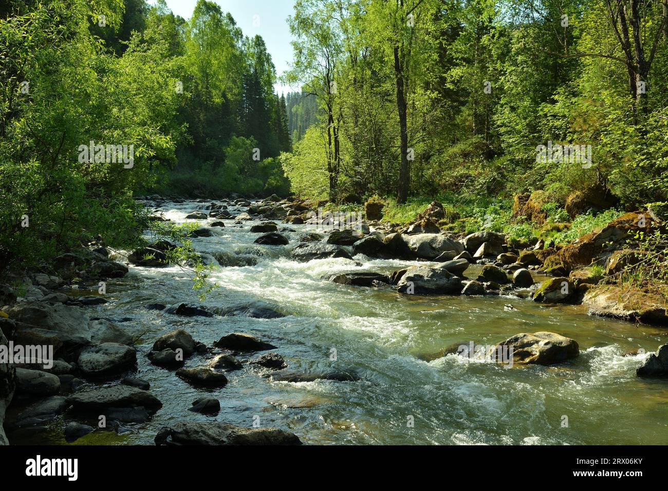 A beautiful turbulent river flows down from the mountains in a swift ...