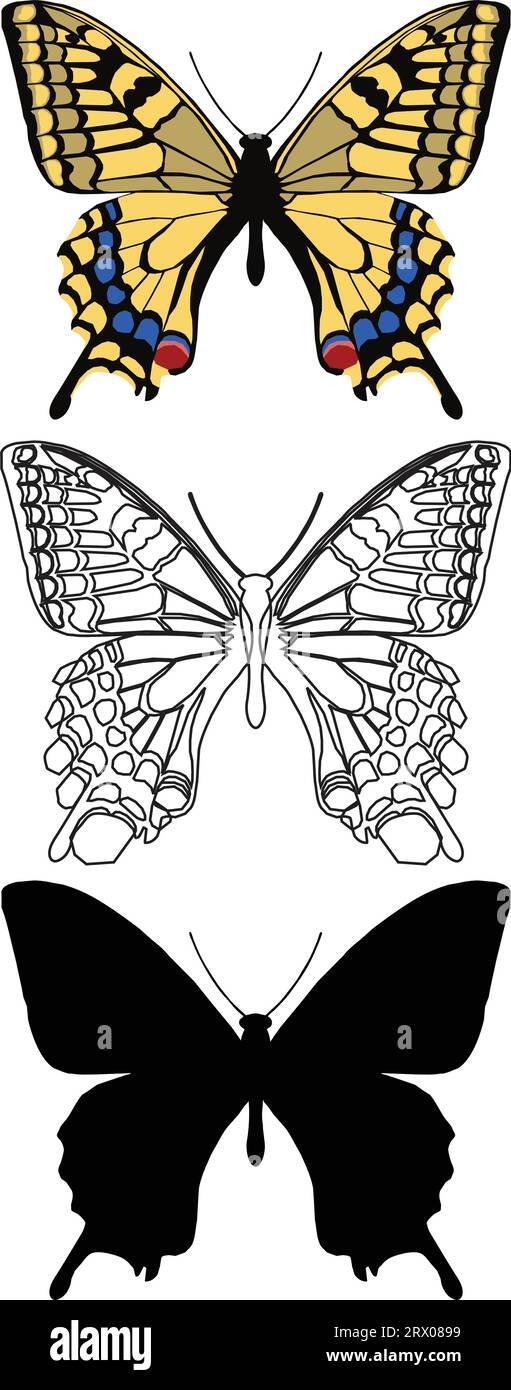 Layered editable vector illustration of Butterfly Pattern Stock Vector ... Layered editable vector illustration of Butterfly Pattern Stock Vector ...