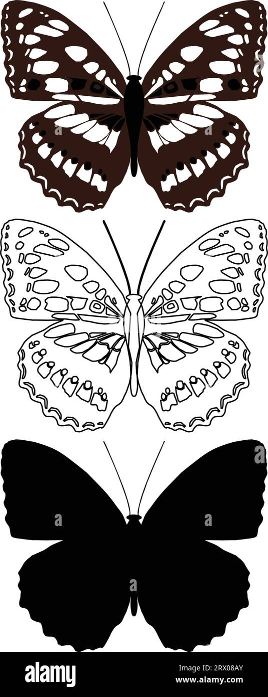 Layered editable vector illustration of Butterfly Pattern Stock Vector ... Layered editable vector illustration of Butterfly Pattern Stock Vector ...