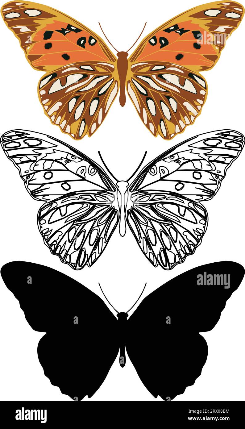 Layered editable vector illustration of Butterfly Pattern Stock Vector ... Layered editable vector illustration of Butterfly Pattern Stock Vector ...