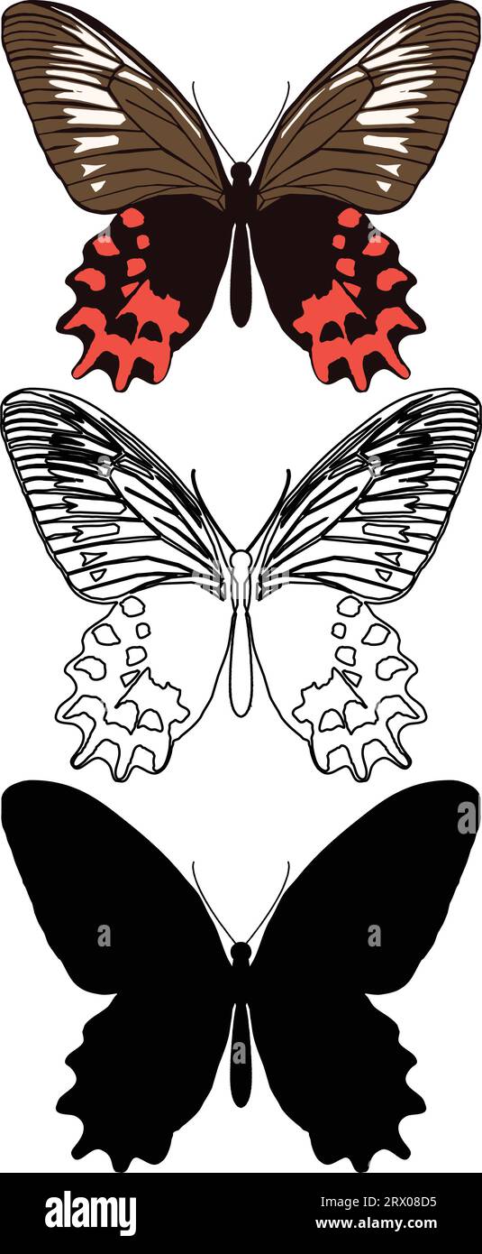 Layered editable vector illustration of Butterfly Pattern Stock Vector ...