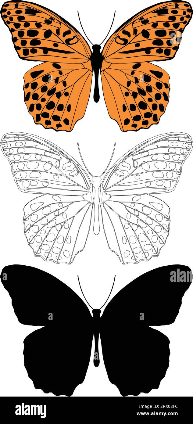 Layered editable vector illustration of Butterfly Pattern Stock Vector ... Layered editable vector illustration of Butterfly Pattern Stock Vector ...