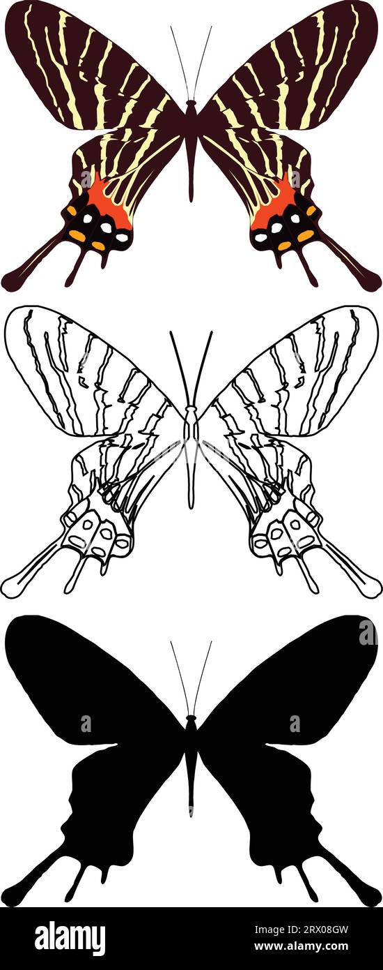 Layered editable vector illustration of Butterfly Pattern Stock Vector ... Layered editable vector illustration of Butterfly Pattern Stock Vector ...