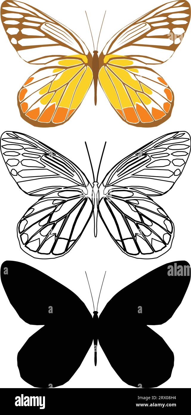 Layered editable vector illustration of Butterfly Pattern Stock Vector ... Layered editable vector illustration of Butterfly Pattern Stock Vector ...