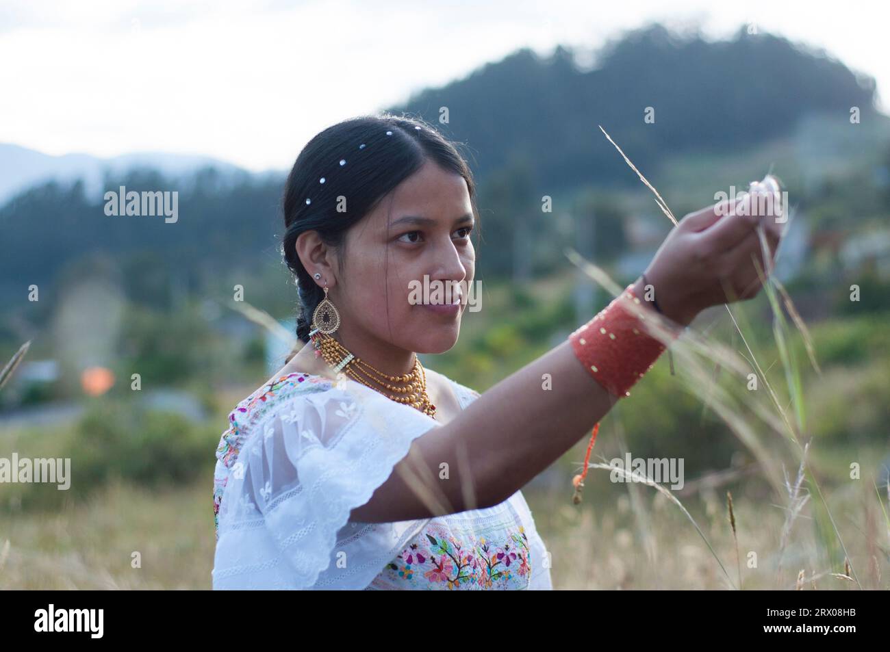 indigenous woman in South America working the agriculture of her native ... indigenous woman in South America working the agriculture of her native ...