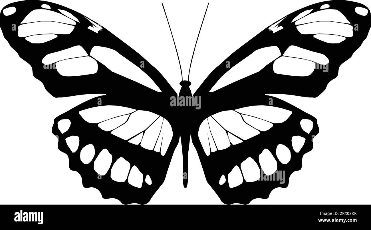 Layered editable vector illustration of Butterfly Pattern Stock Vector ... Layered editable vector illustration of Butterfly Pattern Stock Vector ...