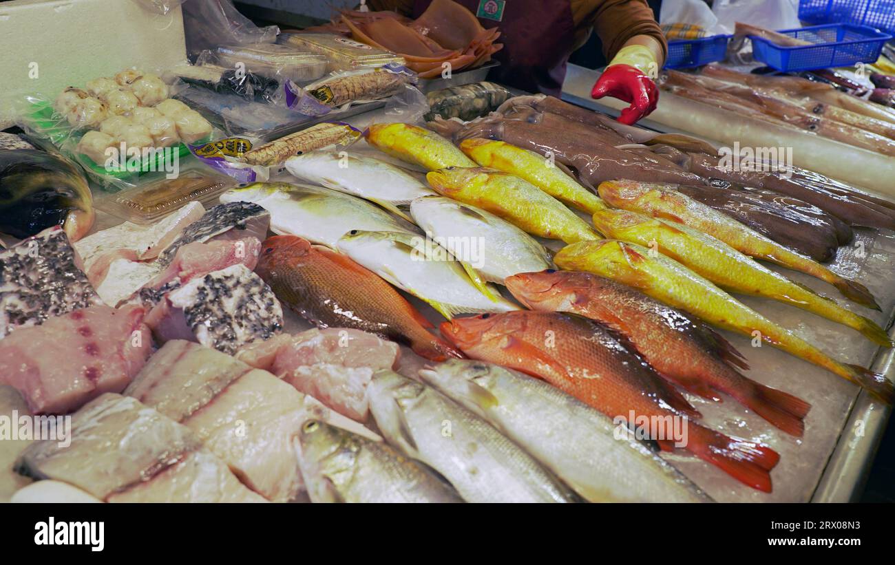 Seafood on shop display hi-res stock photography and images - Alamy