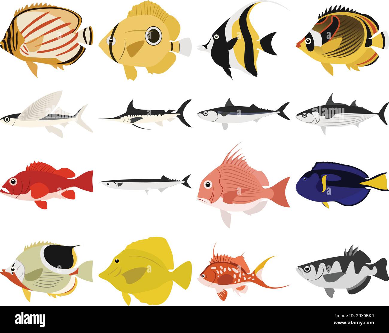 Layered editable vector illustration collection of fishes Stock Vector ...