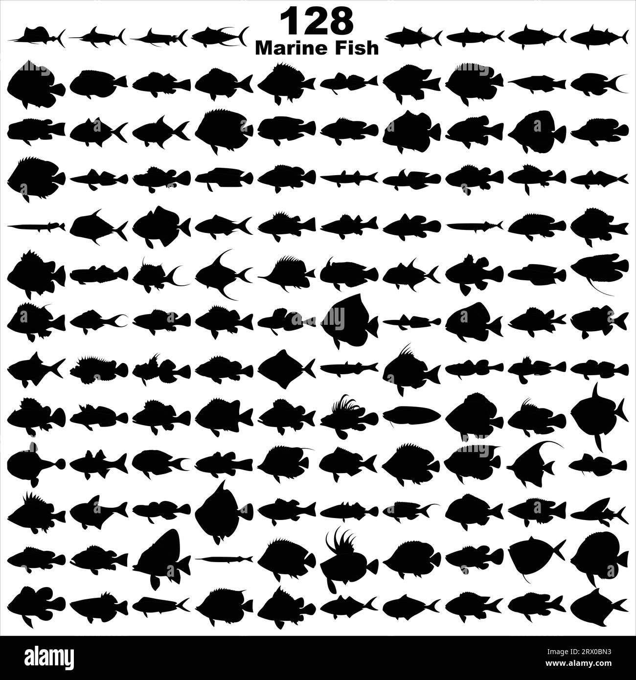 Layered editable vector illustration silhouette of 128 marine fishes ...