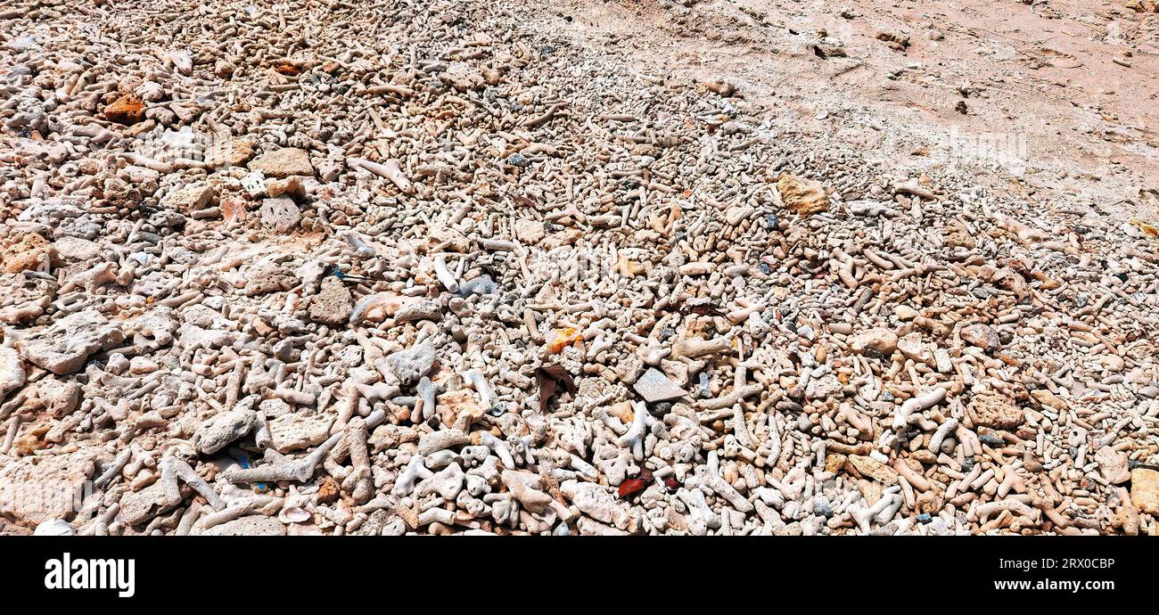 A dry riverbed surrounded by rocky terrain and rubble Stock Photo - Alamy