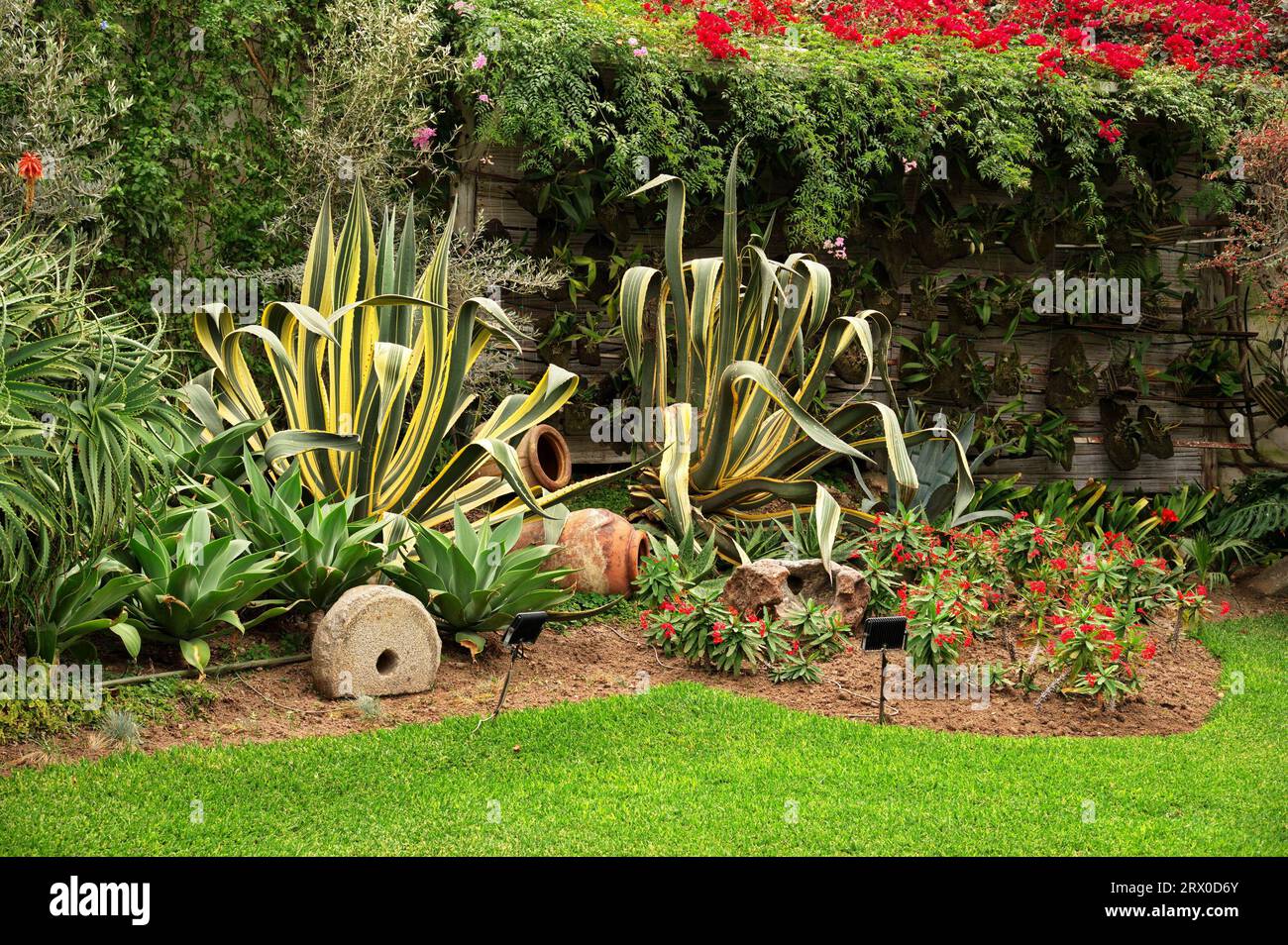 Tropical garden with various flowers in Lima, Peru Stock Photo - Alamy