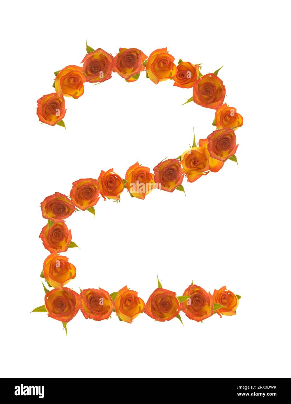 Number 2 made of sweetheart rose blossom of colorful wet yellow to red ...