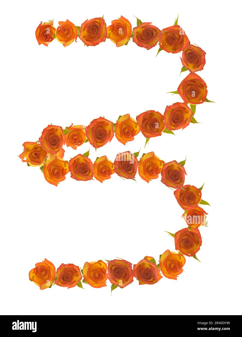 Number 3 made of sweetheart rose blossom of colorful wet yellow to red ...