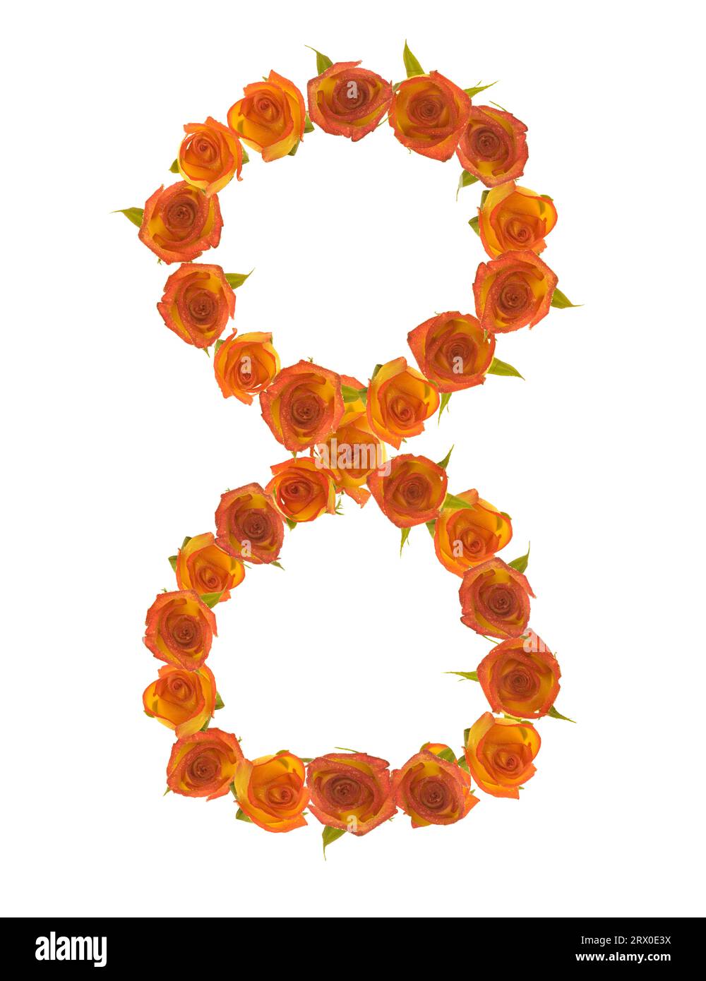 Number 8 made of sweetheart rose blossom of colorful wet yellow to red ...