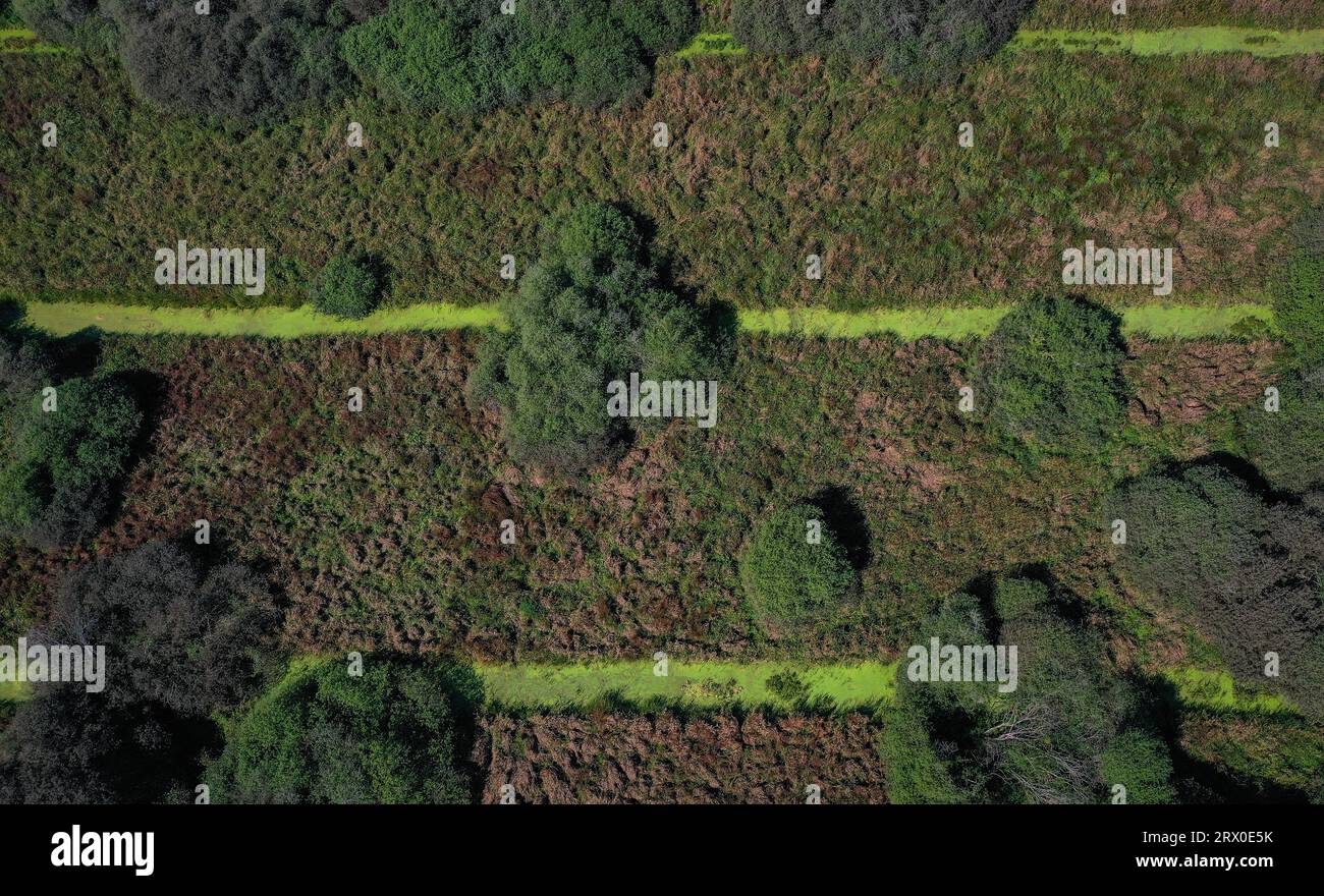 Germany. 15th Sep, 2023. Bog dam ditches run through the core zone of ...