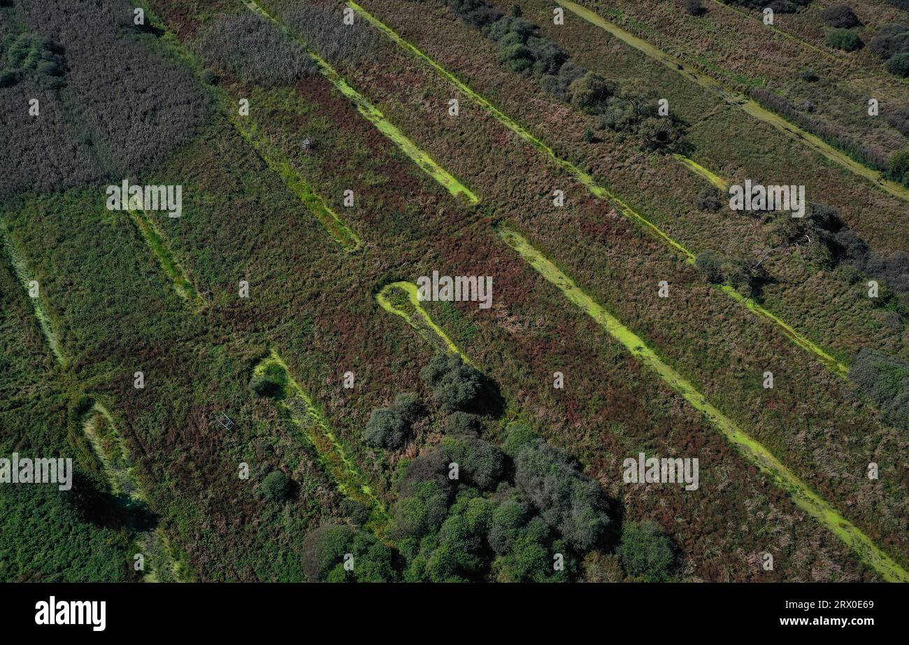 Germany. 15th Sep, 2023. Bog dam ditches run through the core zone of ...